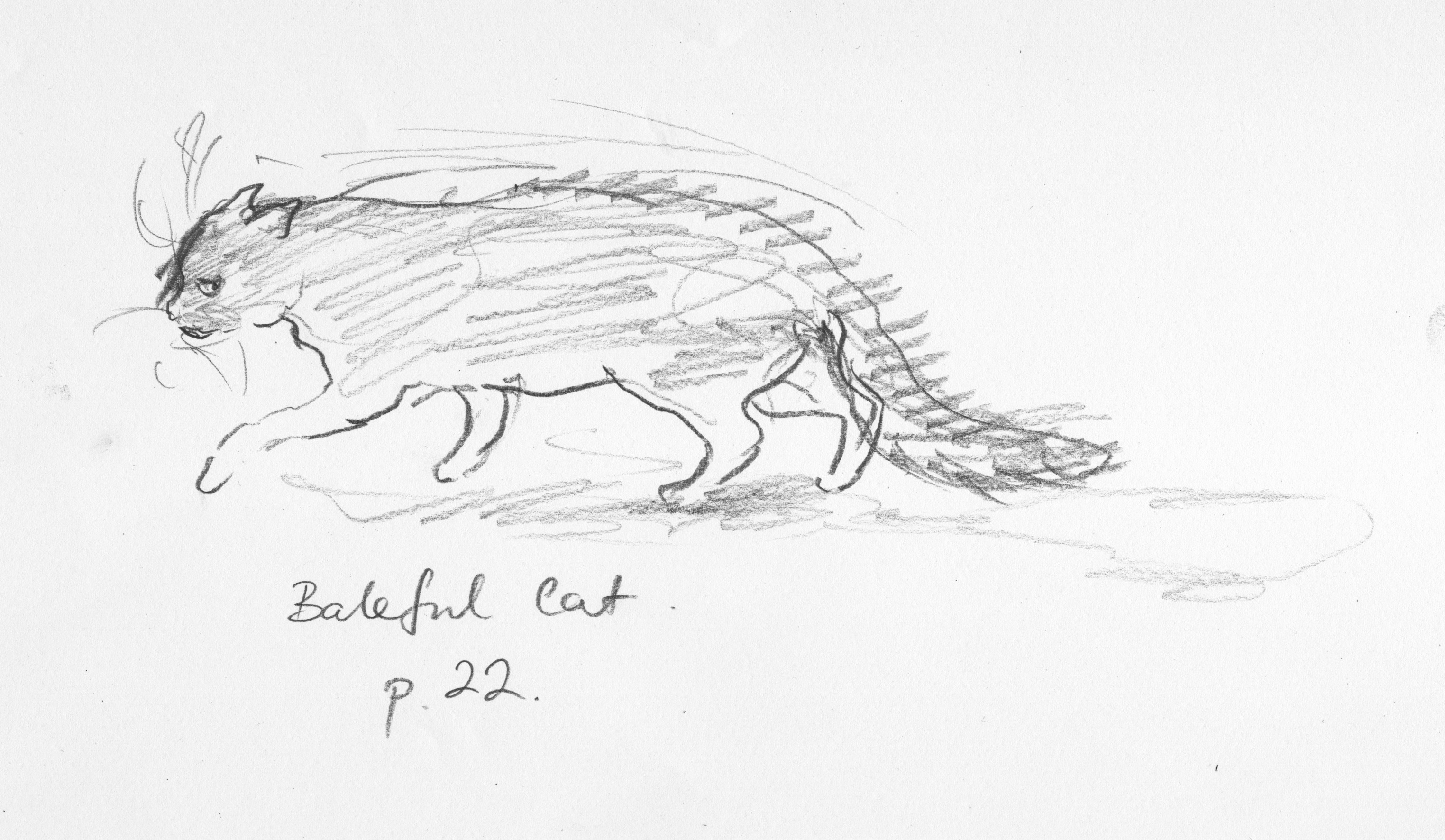 Thunderous expression | Judy Watson