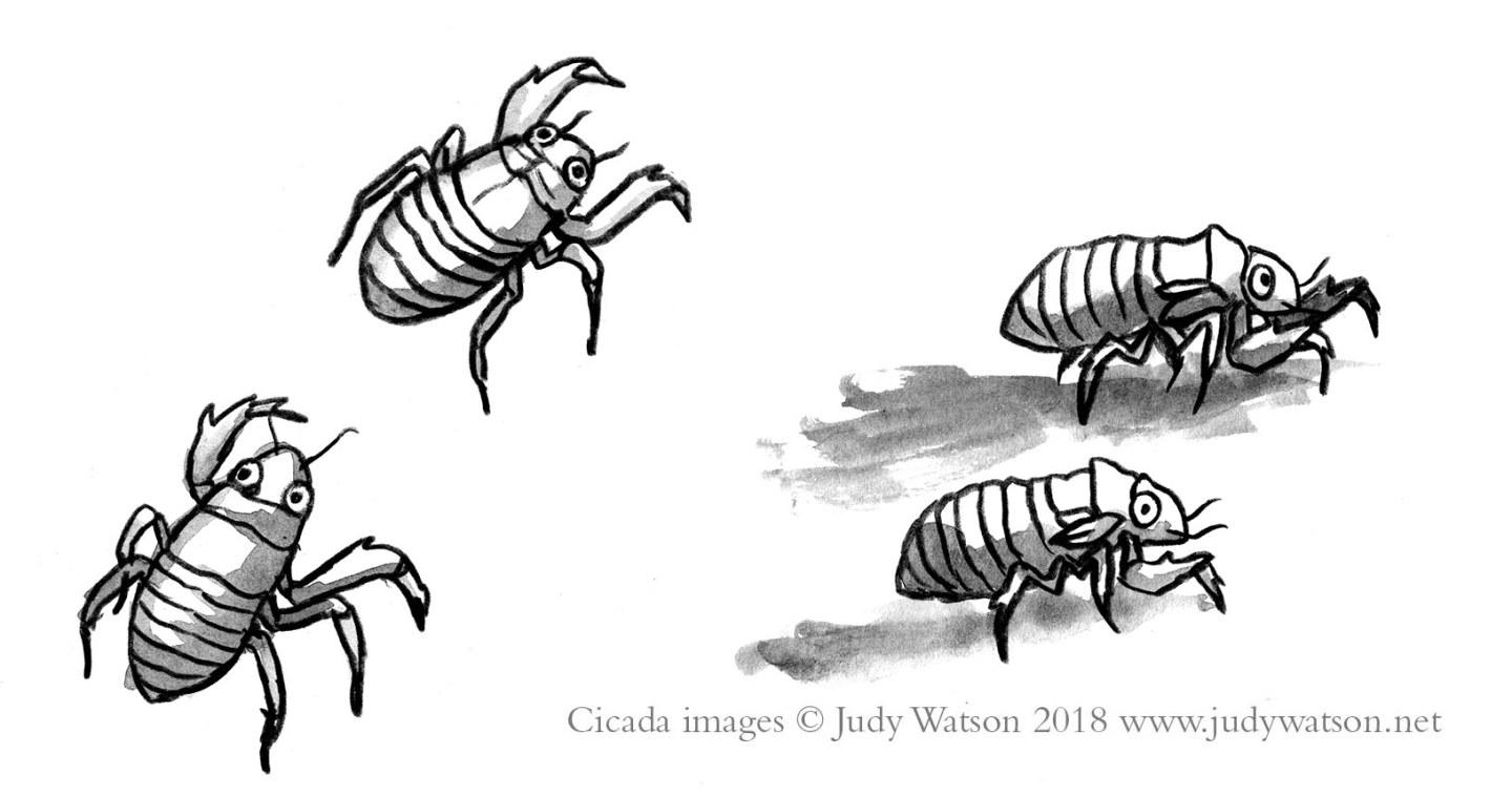 Leaf Litter Endpapers (activity) | Judy Watson