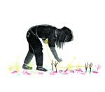 Leaf Litter Endpapers (activity) | Judy Watson