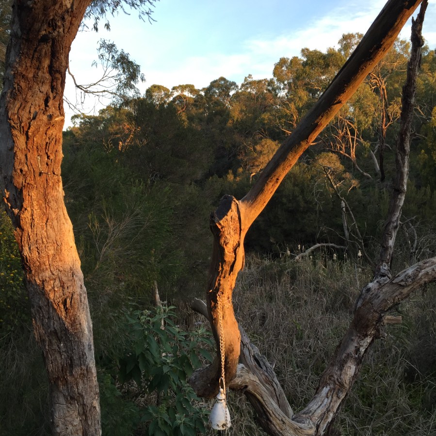 About Judy Watson | Judy Watson