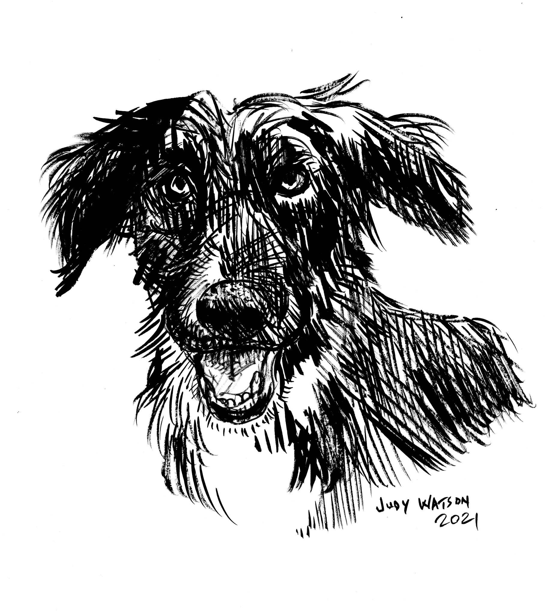 Judy Watson | author illustrator artist | Page 2