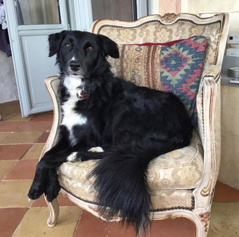 Judy Watson | author illustrator artist | Page 2